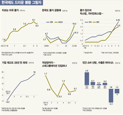 코로나19로 풀었던 천문학적인 돈은 ‘글로벌 인플레이션으로 돌아왔다 인플레를 막으려 미국과 각국이 금리를 대폭 올리자 세계