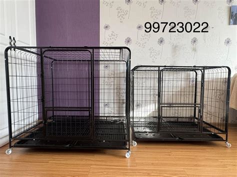 МОНГОЛЫН НОХОЙ ТЭЖЭЭГЧДИЙН НЭГДСЭН ГРУПП ⁉️Шинэ нохойны тор хайрцагтайгаа бэлэн ирлээ