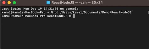 reactjs y nodejs los primeros pasos diego pacheco
