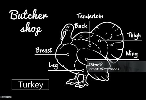 고기 인하 포스터 정육점 다이어그램 및 계획터키 빈티지 그린 흑인과 백인 네덜란드어에서 텍스트 인쇄 벡터 일러스트 레이 션