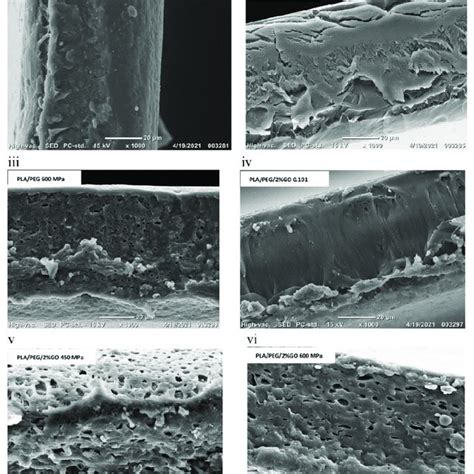 A Graphical Representation Of The Application Of HPP On The Films A Download Scientific