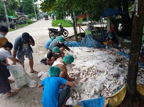 မအူပင်မြို့တွင် ကိုဗစ် ၁၉ ကာကွယ်ရေးကာလအတွင်း ဘုန်းတော်ကြီးကျောင်းများ၊ သီလရှင်ကျောင်းများနှင့
