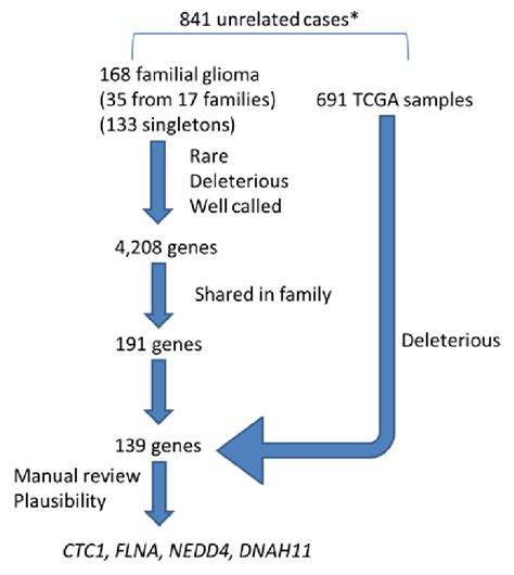 overview of segregation analysis strategy 1 initial variant filtering