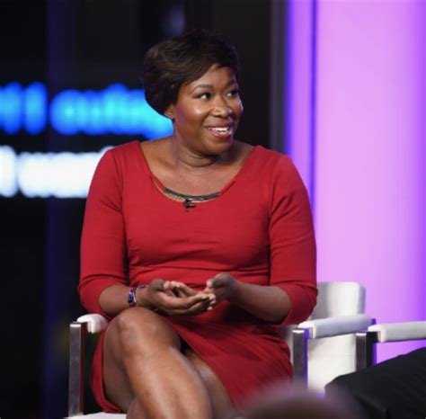 Fbi Investigating Alleged Hack Of Joy Reids Blog Vibe Com