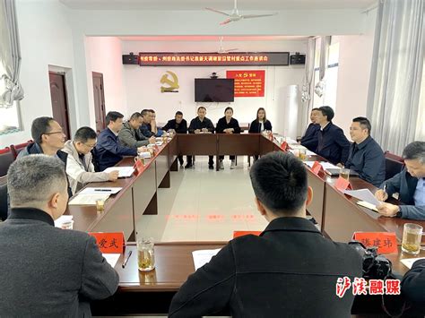 袁新天到兴隆场镇调研乡村振兴工作本地新闻泸溪新闻网