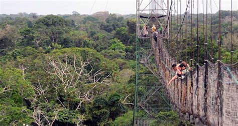 Wildlife Holidays In Ecuador Amazon Miraviva