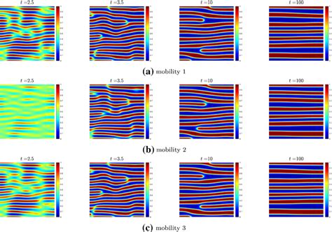 Microphase And Macrophase Separation At Download Scientific Diagram