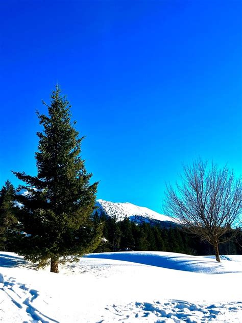 Bonneannée2025 Somafigroup Collaboration Innovation Somafi Group