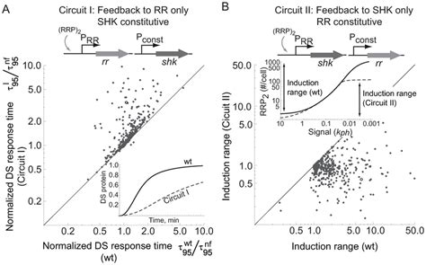 tradeoff and synergy in two component system feedback interactions a