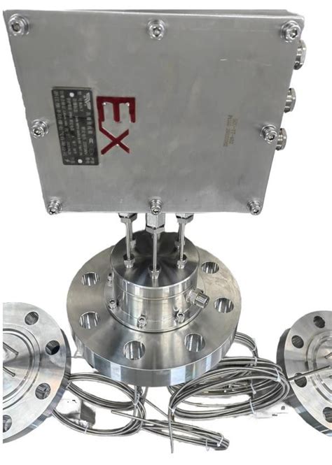 China Explosion Proof Multi Point RTD Sensors Manufacturers Factory Customized Service