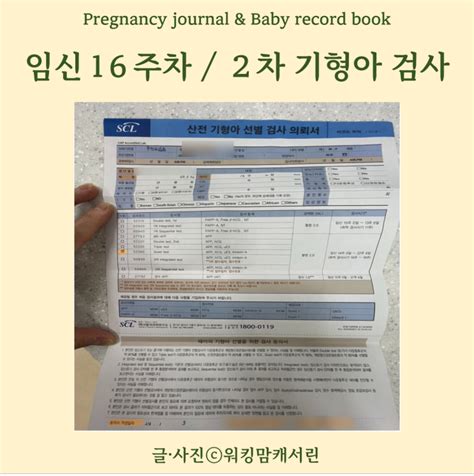 임신16주차ㅣ용산구보건소 2차 기형아검사 쿼드quad 검사 방문시간 준비물 검사시간 결과 후기 네이버 블로그