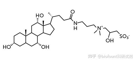 Chapso；两性离子去污剂 知乎