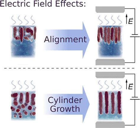 Evaporation Induced Self Assembly Of Diblock Copolymer Films In An Electric Field A Simulation