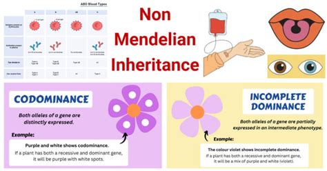 Non Mendelian Inheritance