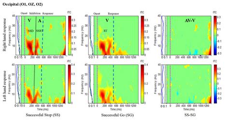 The Itc Plot Of Occipital Cortex O1 Oz O2 With Visual V And