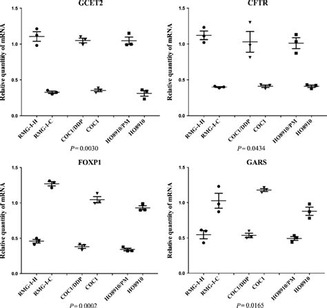 Quantitative Real Time Pcr Validation For 4 Selected Genes Download Scientific Diagram