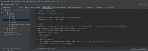 Opencv，脸部识别，画框，提取，处理opencv人脸特征提取与检测 Csdn博客