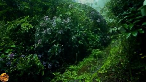 Walking In The Rain Eporner