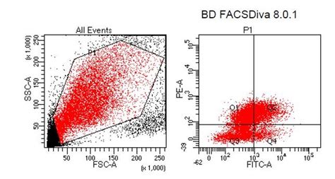 How To Analyze Flow Cytometry Data