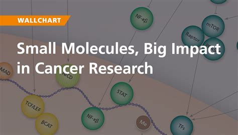 Wallchart Request Small Molecules In Cancer Research