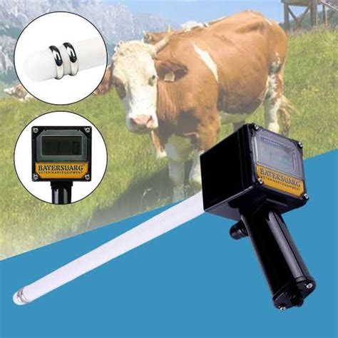 Heat Detection Machine For Cow Sheep Goat Bd