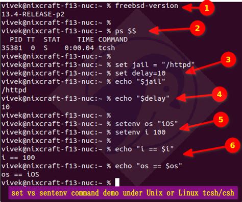 Tcsh Csh Set Vs Setenv Command Differences Nixcraft