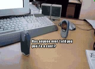 Fite Me Irl Fight Me Irl Know Your Meme