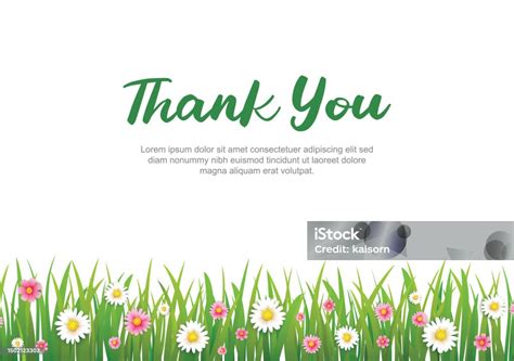 편지 인사말 카드 감사합니다 서예 손으로 쓴 카드 템플릿 배경 감사합니다 감사에 대한 스톡 벡터 아트 및 기타 이미지 감사 감사합니다 개념 Istock