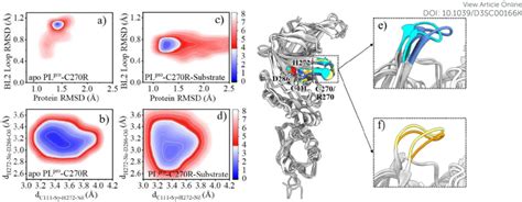 The Comparison Of The Structure And Dynamics Of The Wild Type Wt And