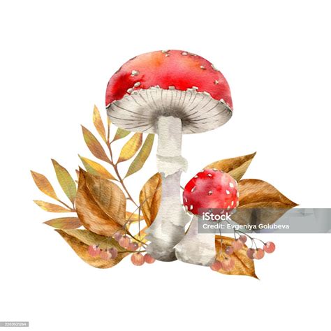 빨간 파리 Agaric과 화려한 단풍 그림이 있는 가을 버섯 구성 손으로 그린 가을 계절 클립 아트 수확 시즌 포스터 카드 디자인에 대 한 숲 식물 개체 가을에 대한 스톡