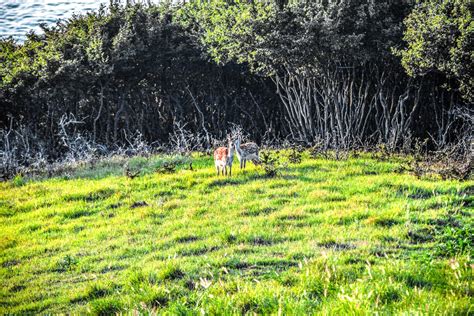 진욱 아주작은사진전시회 여름의채색 바닷가의캠핑 사슴섬 굴업도 내마음에너를담아 개정판 출판기념 다시 가야 할 섬이다 이튿날 담은 사진이 촛점이 다 날라갔다