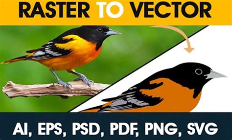 convert from raster to vector tracing or vector by alizakhan125 fiverr