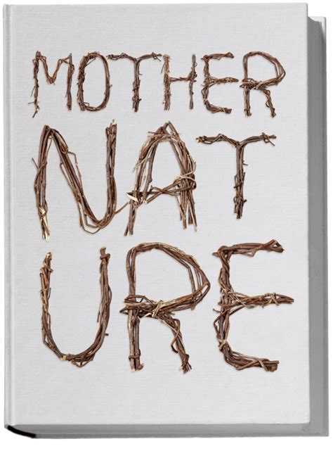 Buy Tree Branch Font Which Combines Nature And Artwork
