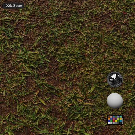 Patchy Grass Texture Poliigon