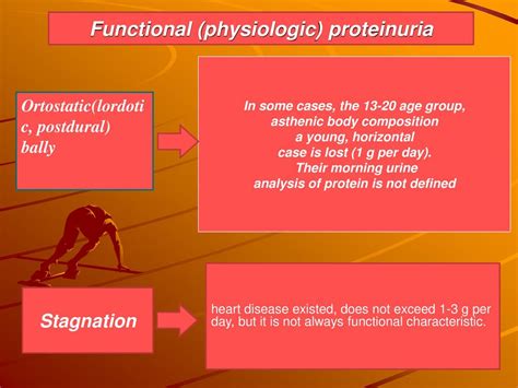 Lector Docent Rakhimova Мe Ppt Download