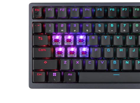 Rog Azoth Keyboards Rog Australia