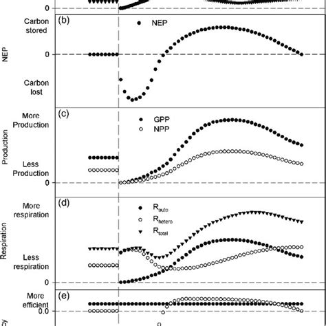 Pdf Patterns Of Npp Gpp Respiration And Nep During Boreal Forest Succession