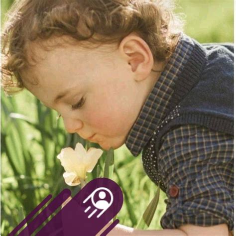 Iran عبدالرحیم موسوی، رییس ستادکل نیروهای مسلح جمهوری اسلامی در پیامی به وزیر دفاع گفت که تنها