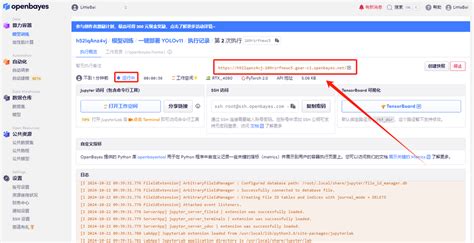 人工智能 在线教程｜yolov11 实战！速度与精度双全的目标检测神器 超神经hyperai segmentfault 思否