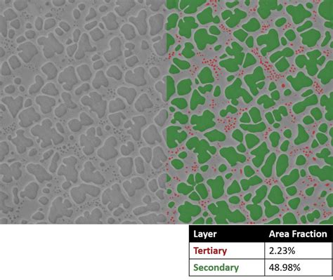 Mipar Image Analysis Software Scientific Image Analysis Processing