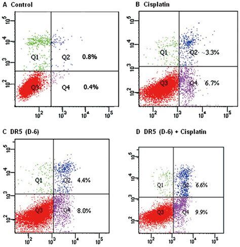 Apoptosis Flow Cytometry