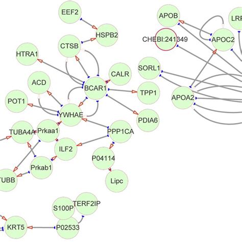 Protein Protein Interaction Network Deps Interaction Network Diagram