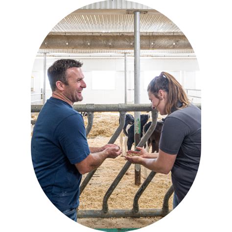 Dairy Production Sollio Agriculture