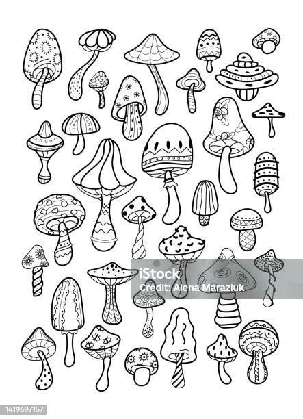 색칠 공부 흰색 배경에 다양한 종류와 모양의 아름다운 오픈 워크 버섯 손으로 그립니다 모든 개체가 분리되어 있습니다 벡터 일러스트레이션 0명에 대한 스톡 벡터 아트 및 기타