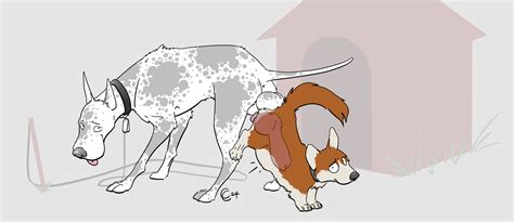 Rule 34 Animal Genitalia Animal Penis Animal Pussy Backsack Balls Big