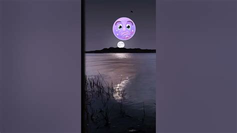 খুব সহজে যারা মানুষকে আপন করে নেই Youtube