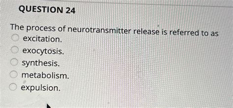 Solved Question 24the Process Of Neurotransmitter Release Is