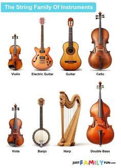 List Of String Instruments With Pictures In 2024 String Instruments Instrument Families