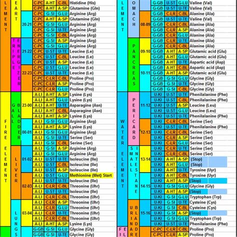 PDF Simple Association Of The Genetic Code And Hexagrams Of The Book Of Changes I Ching