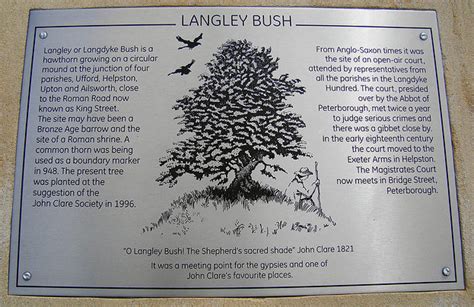 John Clare Weblog Langley Bush